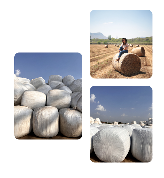 Natural Agri Baler